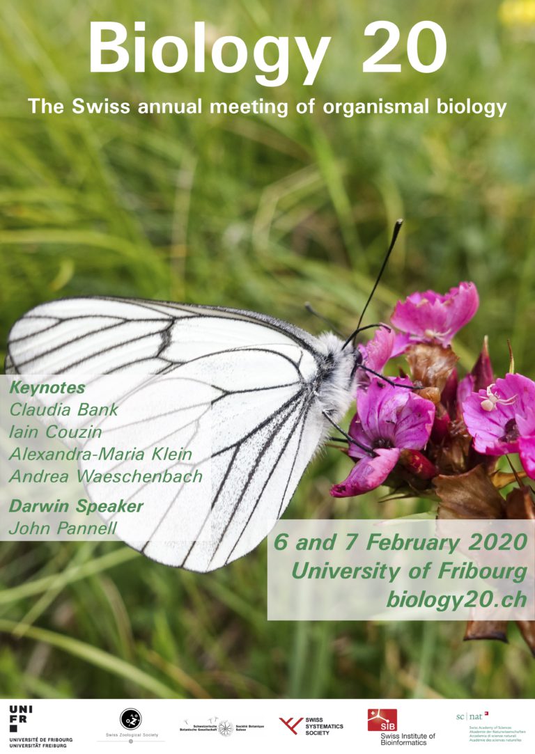 Flyers – Biology 20